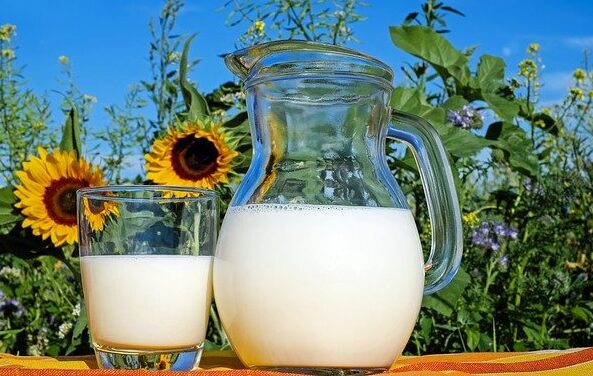 Interesting facts about milk- "विश्व दुग्ध दिवस"All Write Go